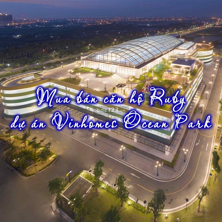 Mua Bán Căn Hộ Chung Cư Ruby - Vinhomes Ocean Park Giá Rẻ T12/2025